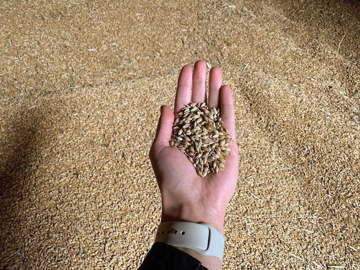 Livestock and Pet Feed – Middleton Meats